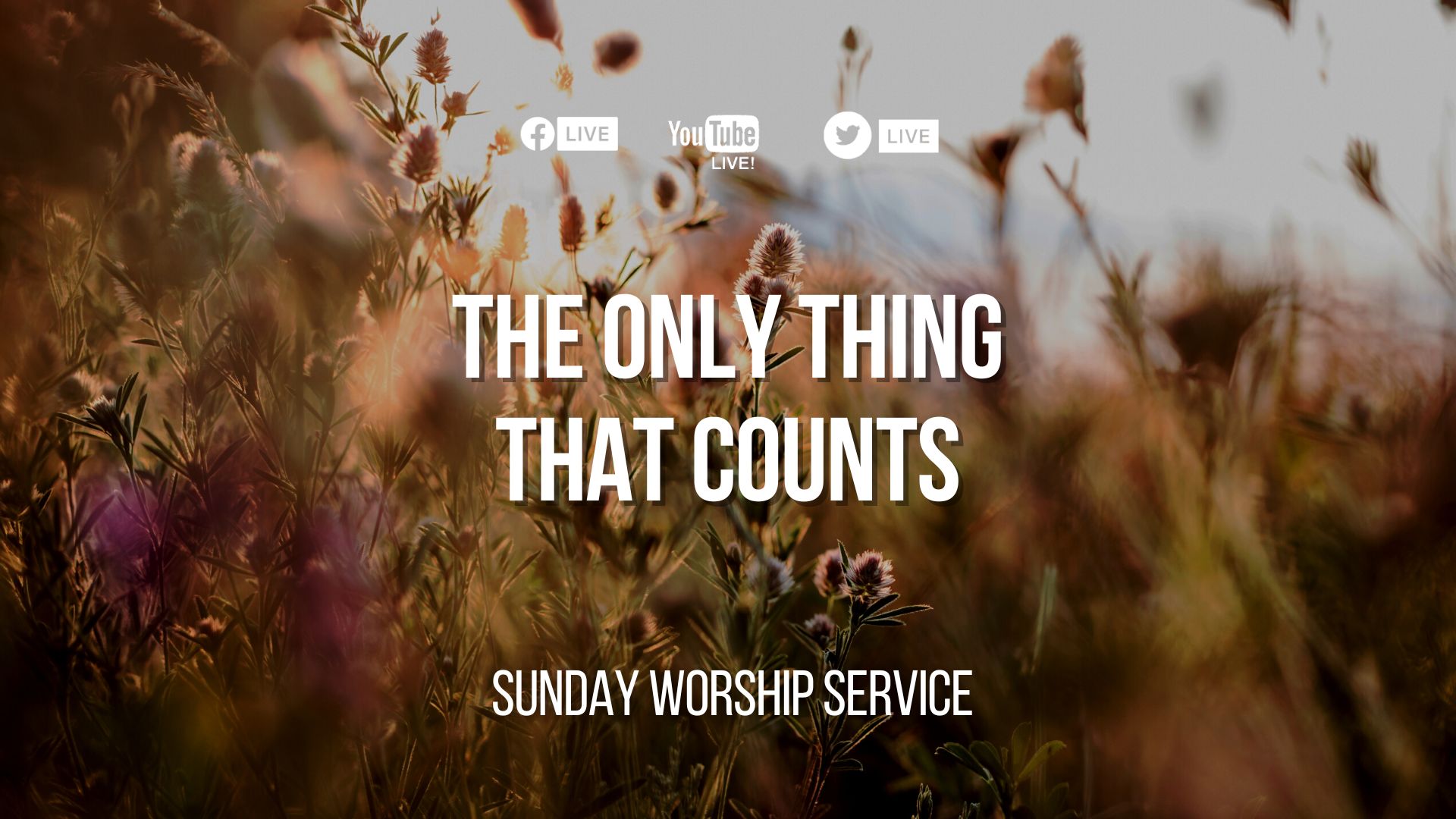 The Only Thing That Counts - Ottawa Church of Christ