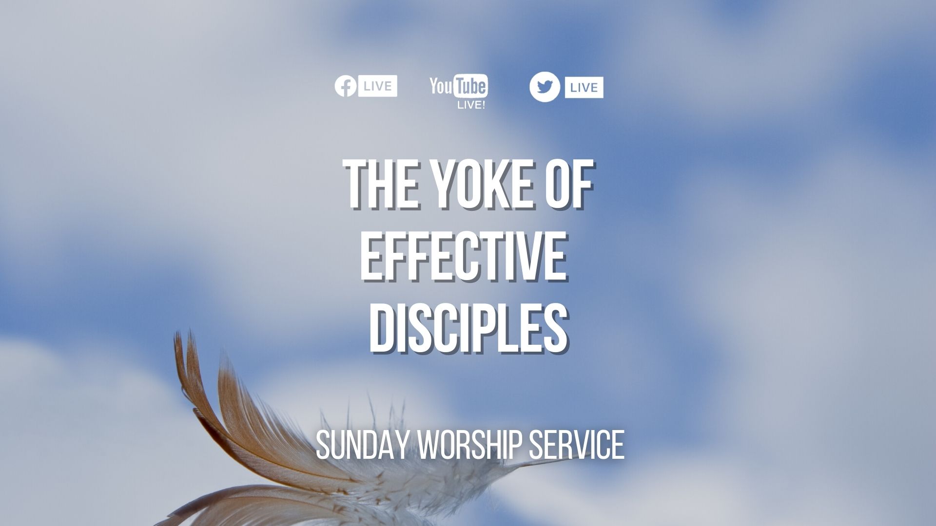 The Yoke of Effective Disciples - Ottawa Church of Christ